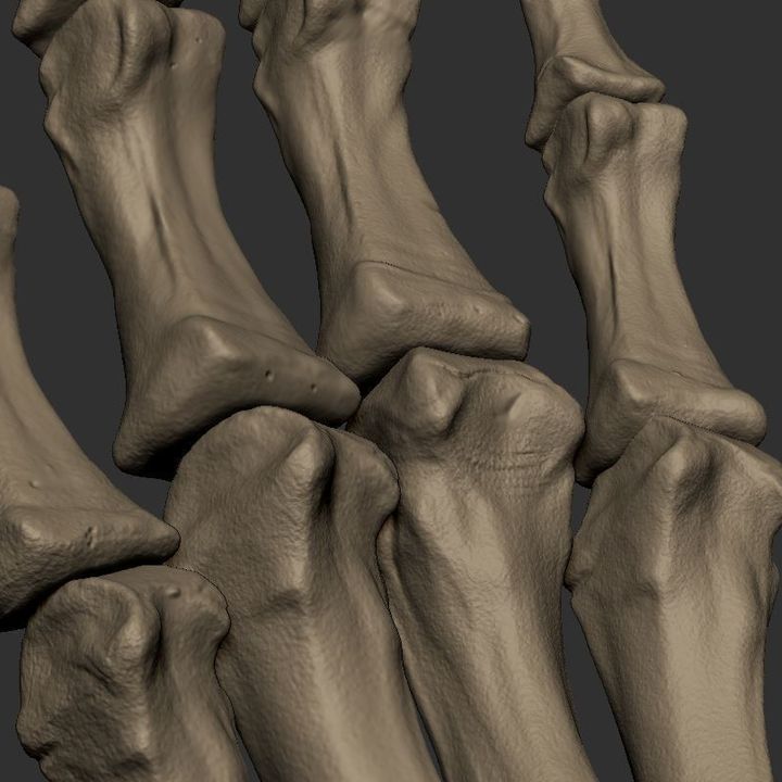 3D Printable Skeleton Hand by hadi halimi